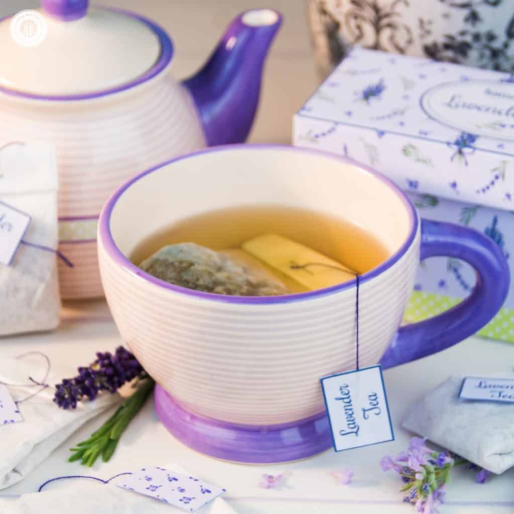 Lavender Tea and DIY Tea Bags from Coffee Filters