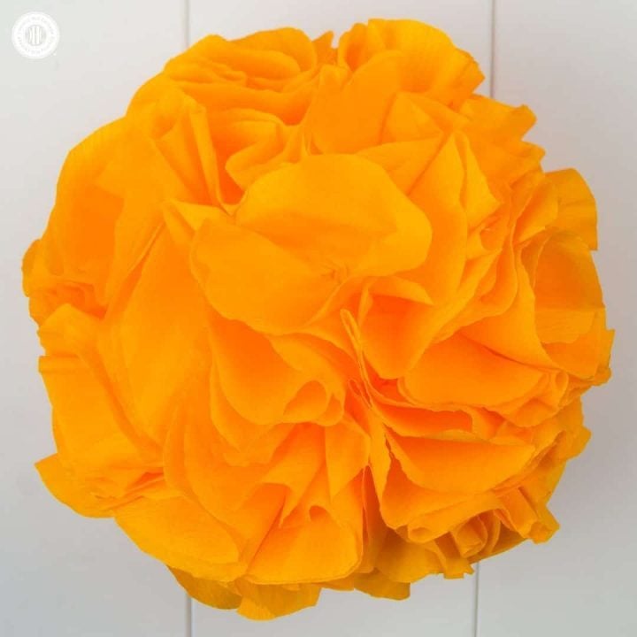 Ruffle Pom Poms with Paper or Fabric