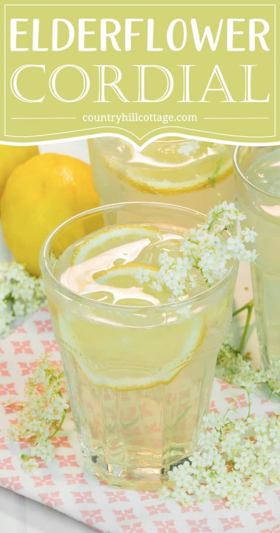Elderflower Cordial - Refreshing Summer Lemonade