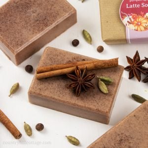 DIY Pumpkin Spice Soap – Easy Fall Melt and Pour Soap Recipe
