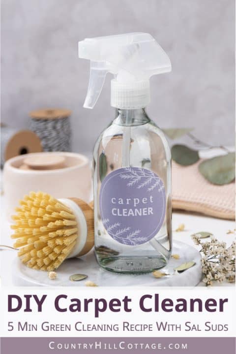 What is Sal Suds? + 4 Easy Natural Cleaning Recipes