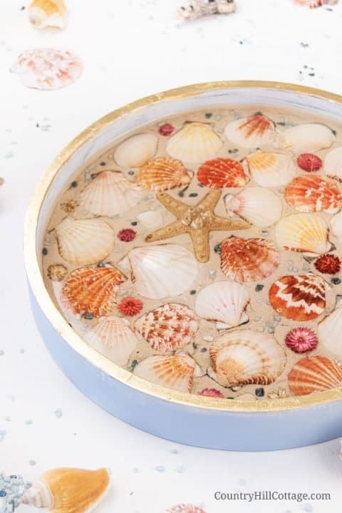 How To Make A DIY Beach Tray with Seashells (Seashell Serving Tray)