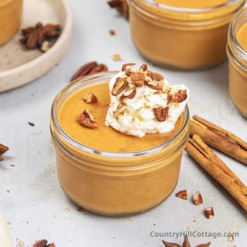 Easy Pumpkin Pudding Recipe {With Vegan + Keto Options}