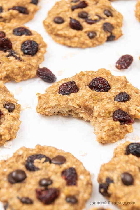 Banana Oatmeal Breakfast Cookies Healthy Gluten Free Recipe