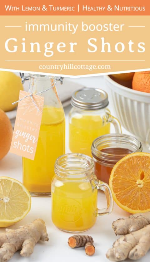 Immunity Booster Shots – Healthy Ginger Shots Recipe
