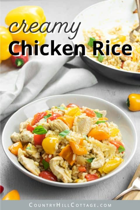 Creamy One Pot Chicken and Rice {Quick + Easy One Pan Meal}