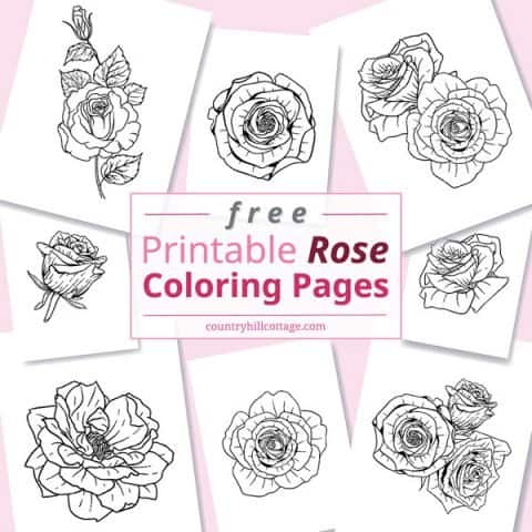 Free Printable Mandala Coloring Pages For Adults