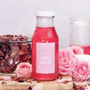 DIY Rose Water Recipe with Tips for Benefits + Uses {Infusion Method}