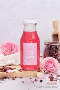 DIY Rose Water Recipe with Tips for Benefits + Uses {Infusion Method}