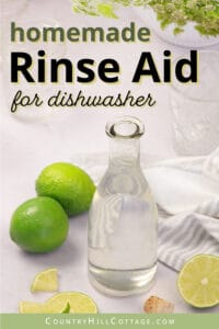 DIY Dishwasher Rinse Aid