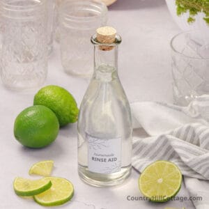 DIY Dishwasher Rinse Aid