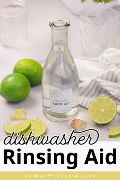 DIY Dishwasher Rinse Aid