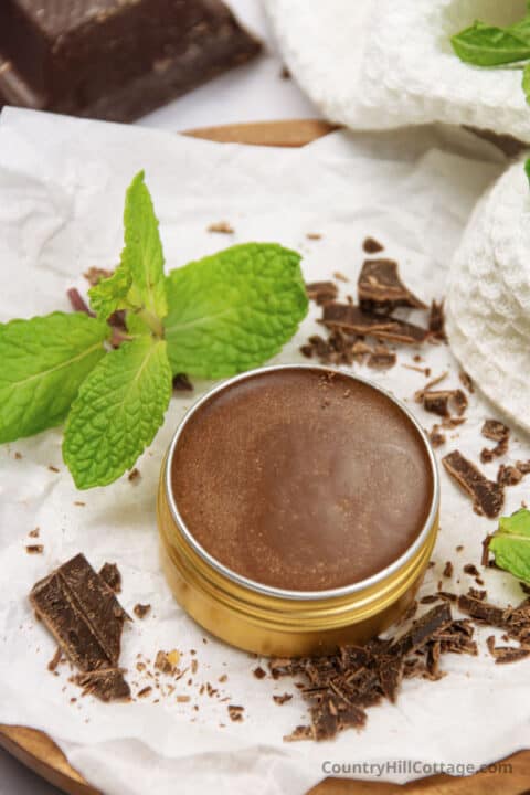 DIY Chocolate Lip Balm {8 Easy Recipes}