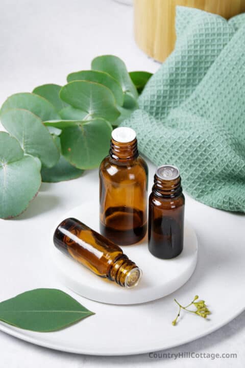 Eucalyptus Diffuser Blends