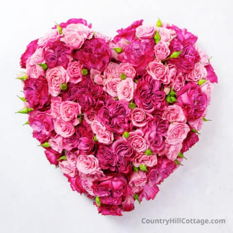 Heart of Roses {DIY Rose Heart}