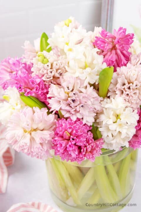 Hyacinth Arrangement {Easy DIY Hyacinth Bouquet}