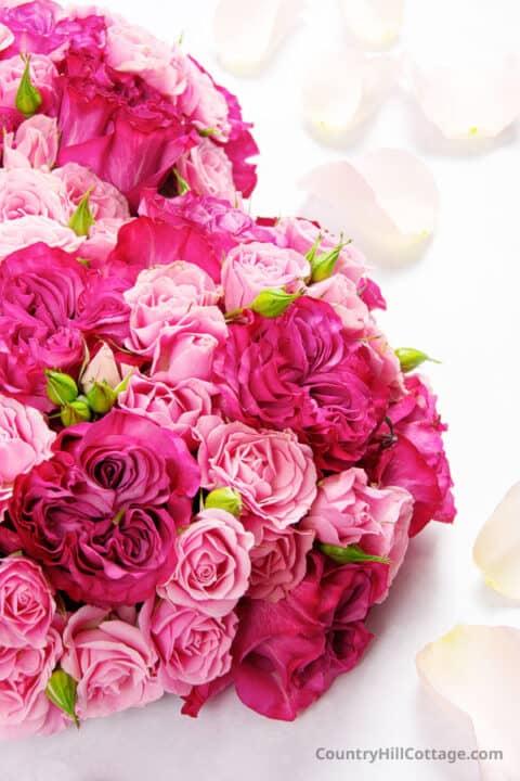 Heart of Roses {DIY Rose Heart}