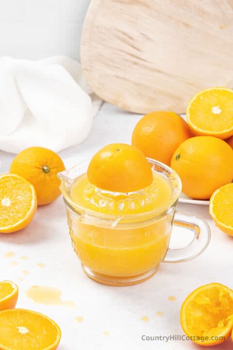 Orange Julius Recipe Without Concentrate {With Fresh Orange Juice}