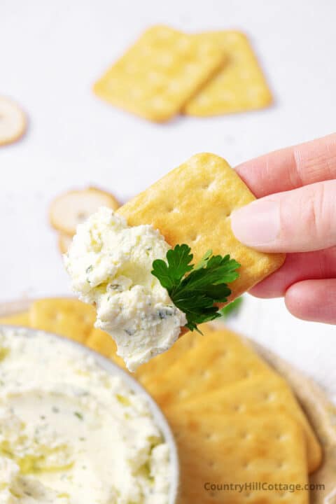 Garlic Cheese Spread