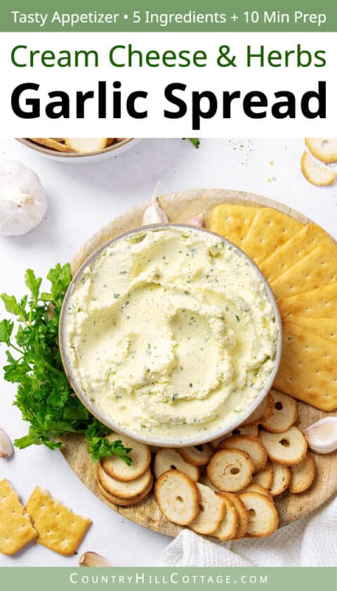 Garlic Cheese Spread