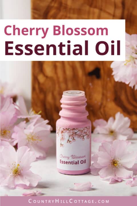 Cherry Blossom Essential Oil