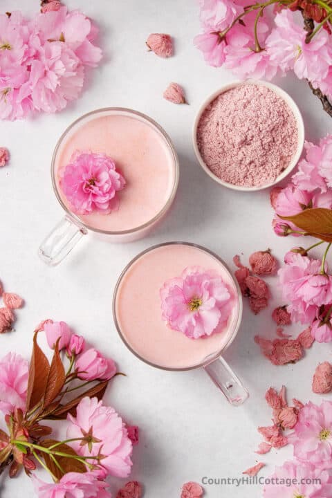 Sakura Latte