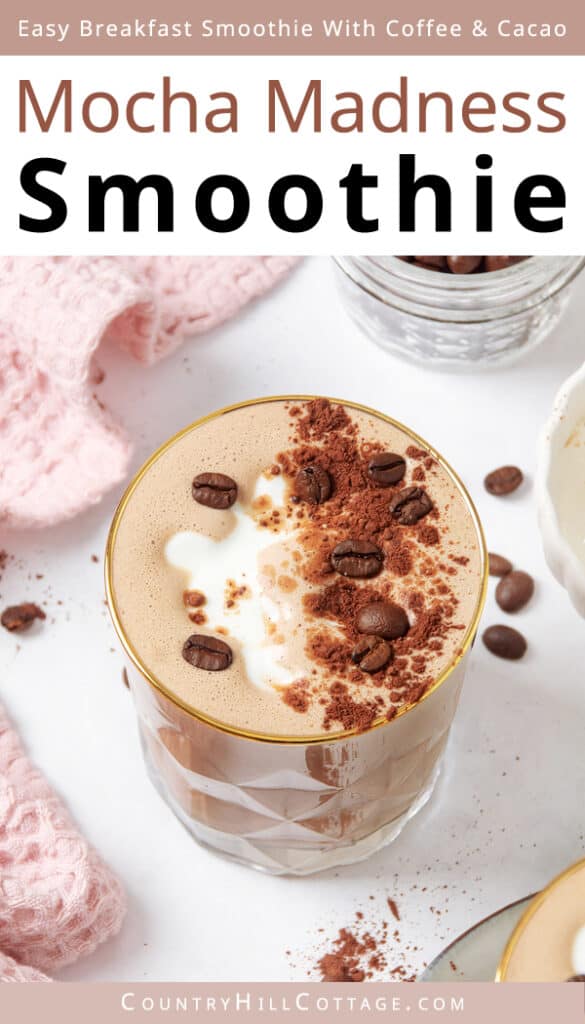 Mocha Madness Tropical Smoothie Recipe