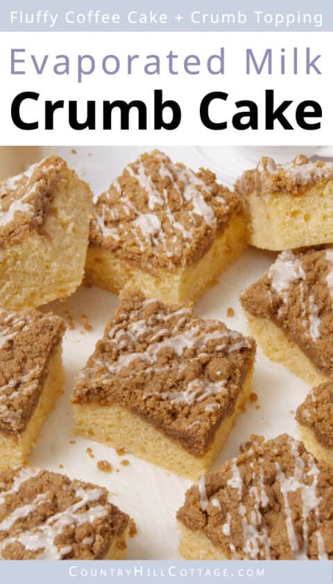 Evaporated Milk Cake