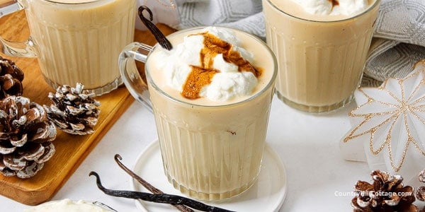 Vanilla Eggnog