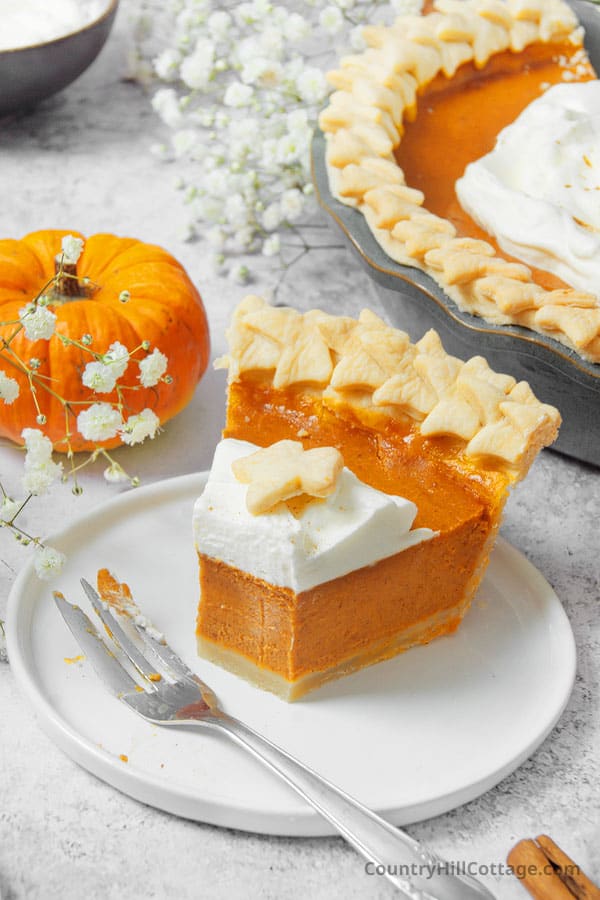 Pumpkin Pie Without Evaporated Milk And Condensed Milk