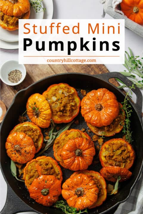 Stuffed Mini Pumpkins
