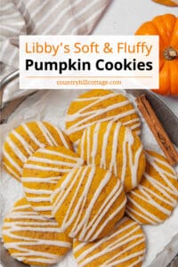 Libby's Pumpkin Cookies
