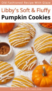 Libby's Pumpkin Cookies