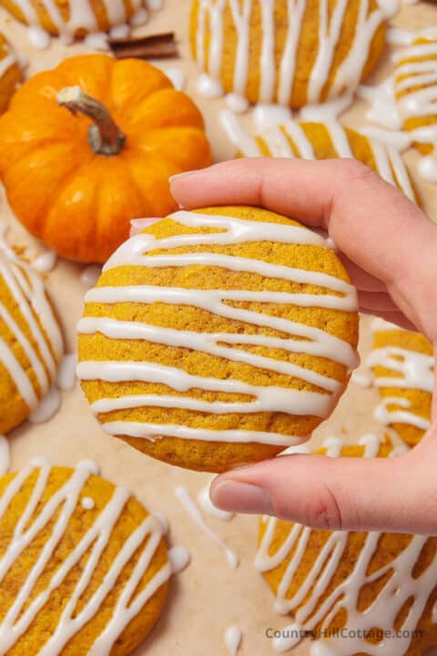 Libby's Pumpkin Cookies