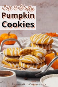 Libby's Pumpkin Cookies