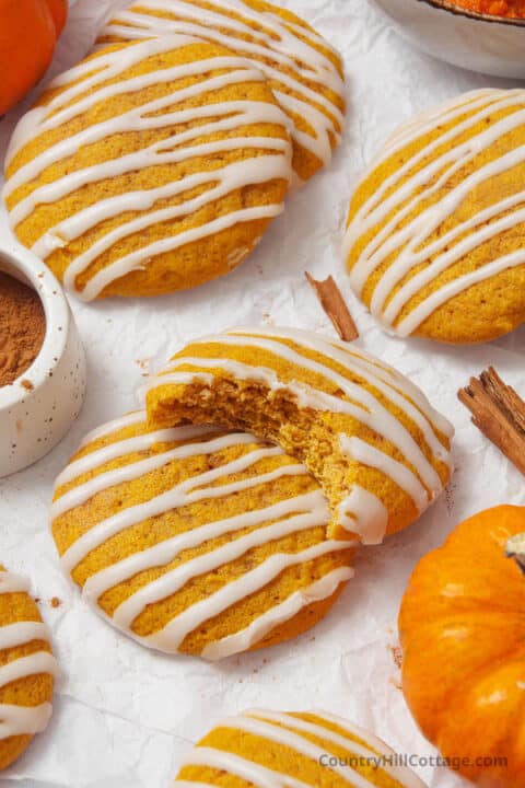 Libby's Pumpkin Cookies