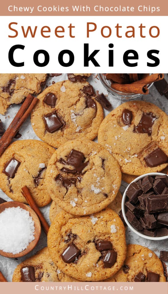 Sweet Potato Chocolate Chip Cookies