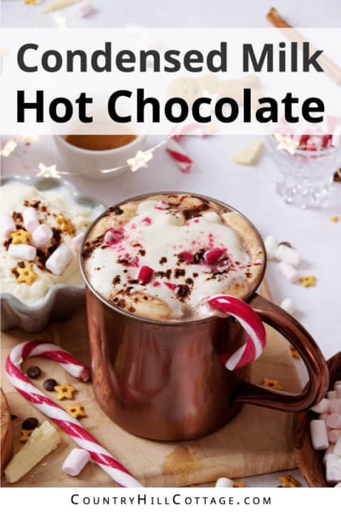 Condensed Milk Hot Chocolate