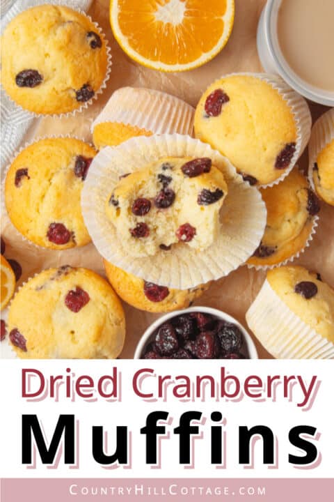 Dried Cranberry Muffins