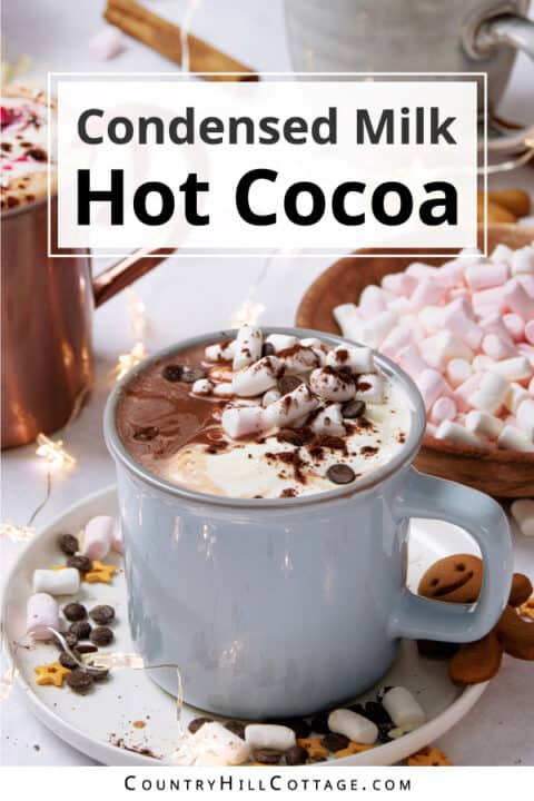 Condensed Milk Hot Chocolate