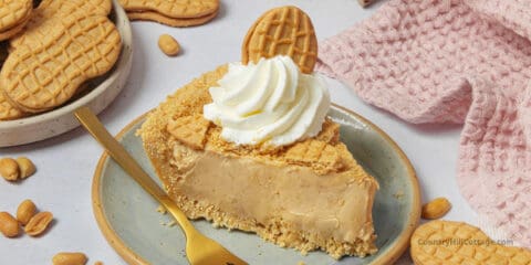 Nutter Butter Pie