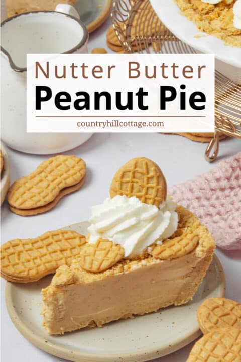 Nutter Butter Pie