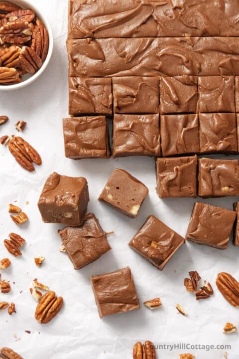 Velveeta Fudge