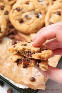 Easy Bisquick Chocolate Chip Cookies