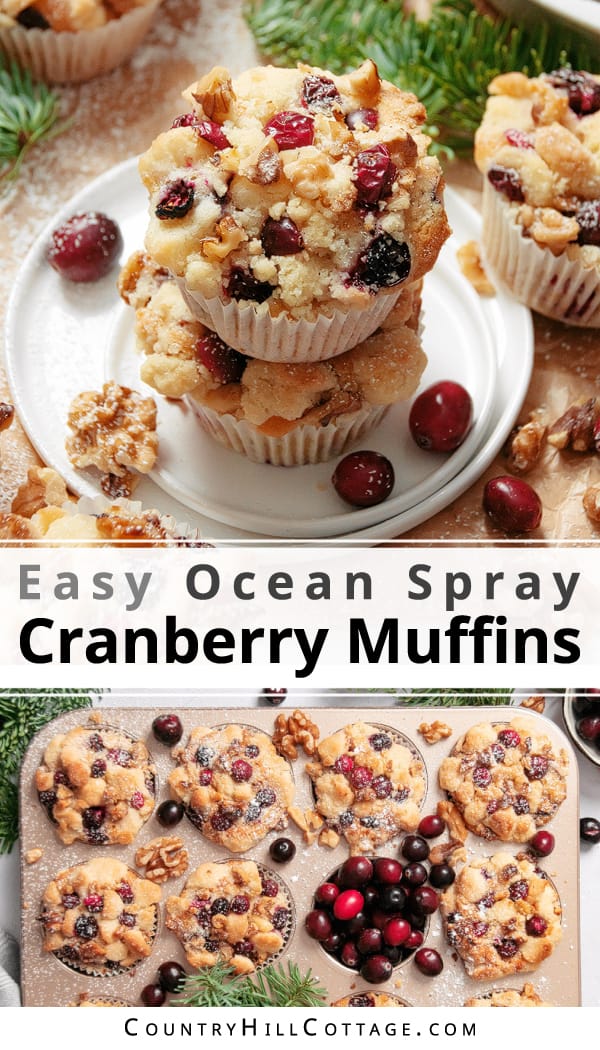 Ocean Spray Cranberry Muffins