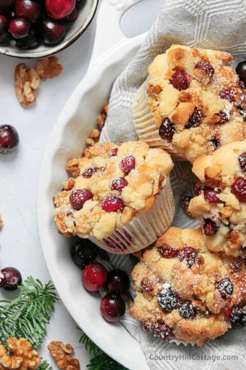 Ocean Spray Cranberry Muffins