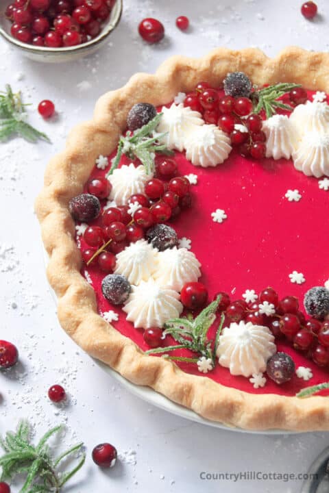 Cranberry Custard Pie