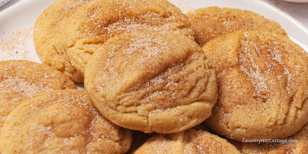 Peanut Butter Snickerdoodles