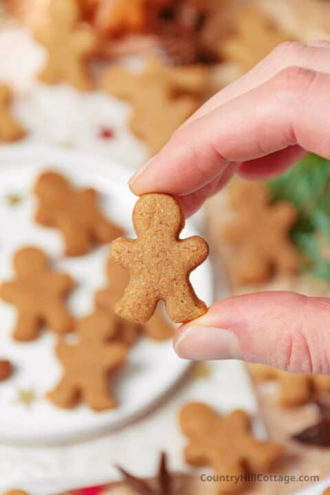 Mini Gingerbread Men