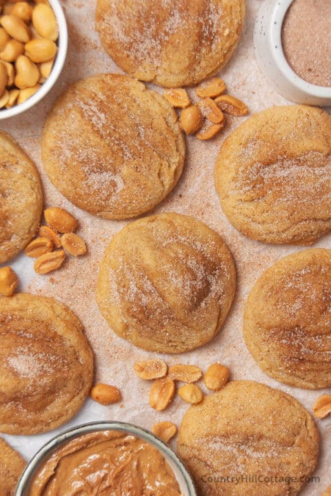 Peanut Butter Snickerdoodles